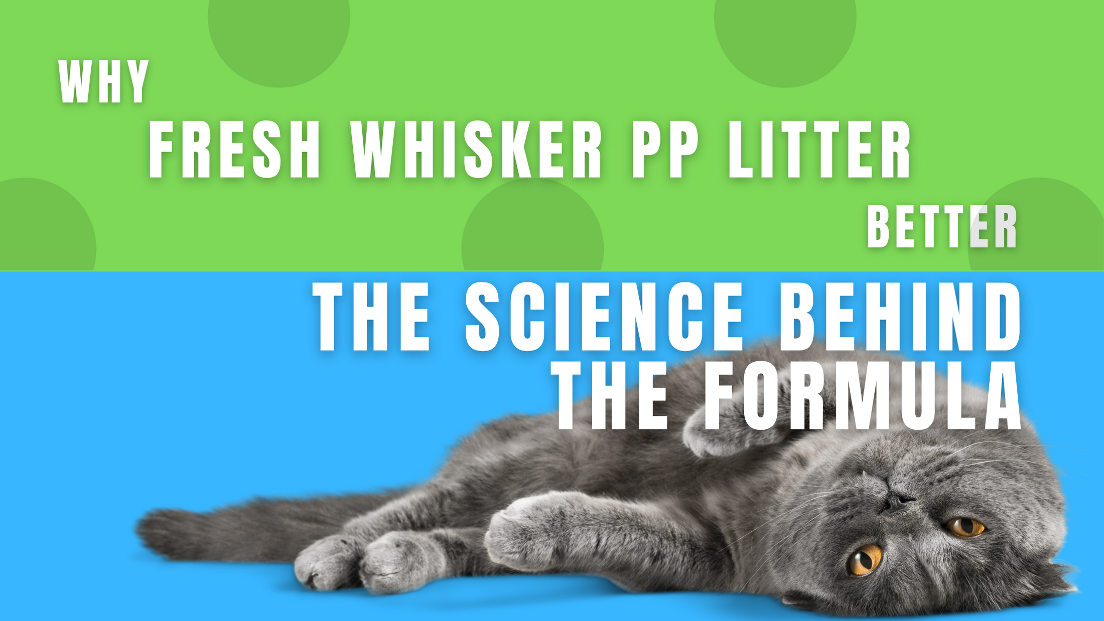 The Science Behind the Formula of Fresh Whisker PP Tofu Cat Litter ...