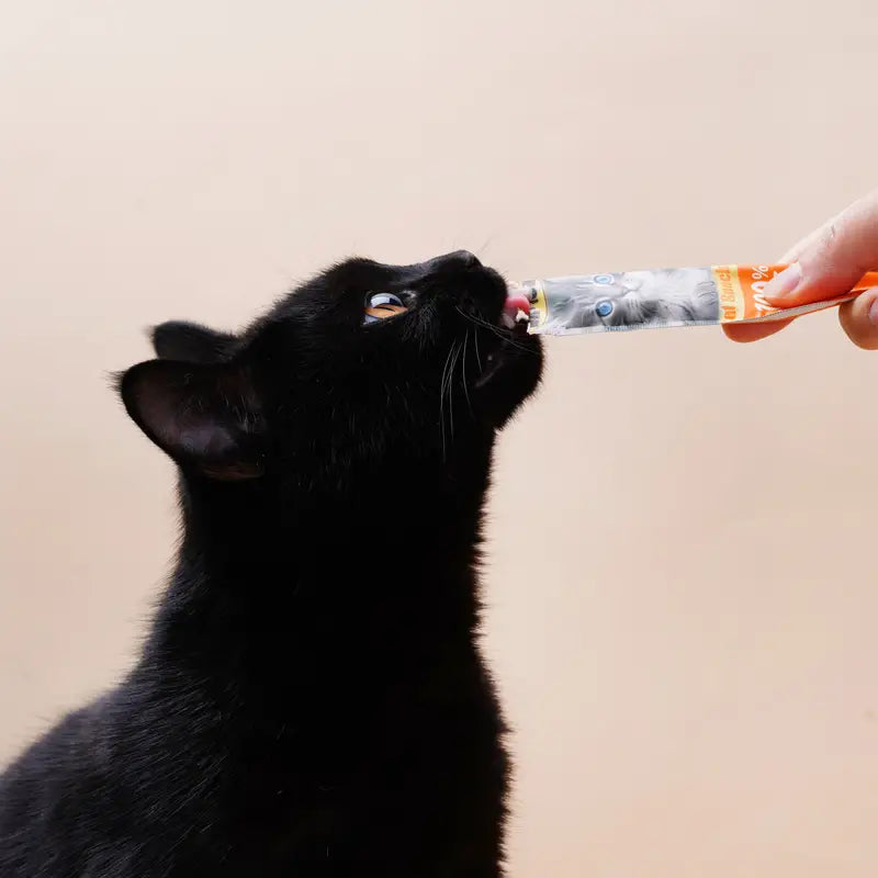 Treats – FreshWhisker