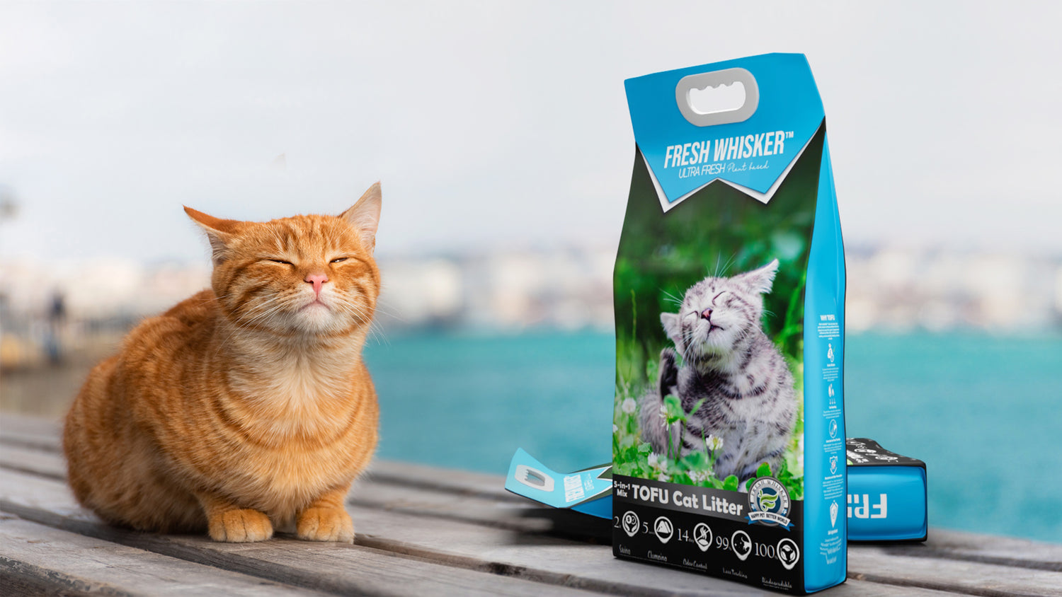 Fresh Whisker: Eco-Friendly All Natual Plant Based Tofu Cat Litter ...