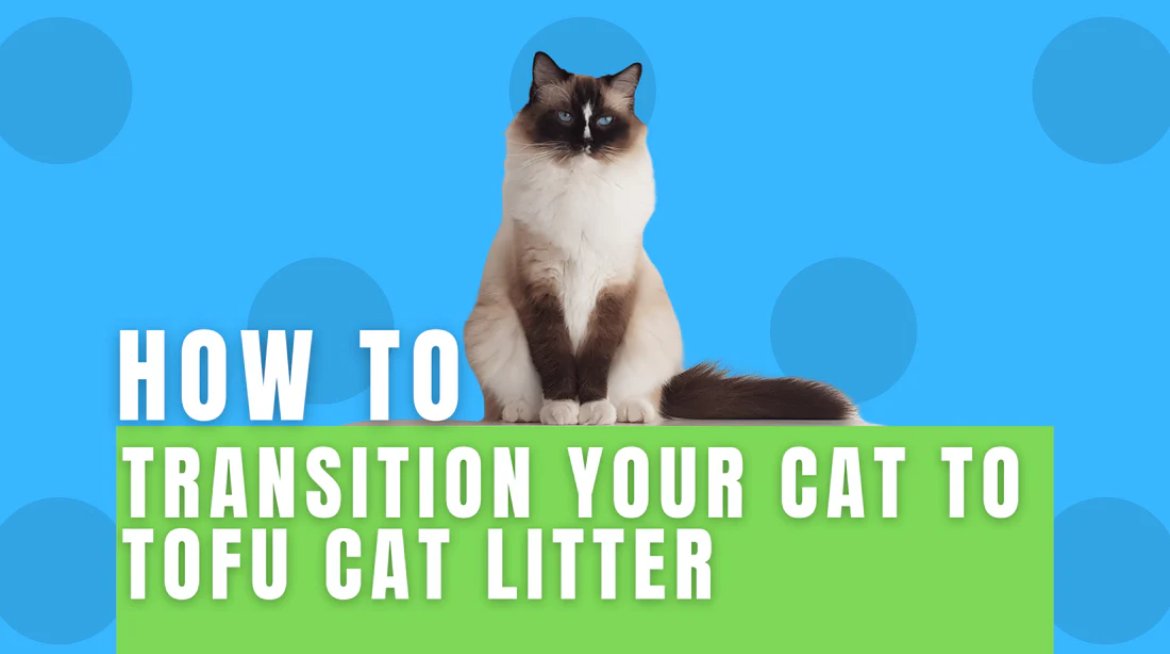 Fresh Whisker: Eco-Friendly All Natual Plant Based Tofu Cat Litter ...